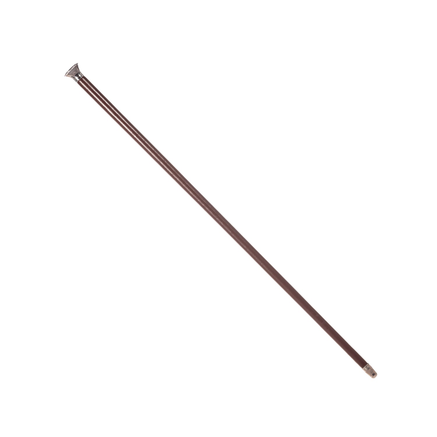 Silver Cap Leather Show Cane | Horse Whips | Country Direct